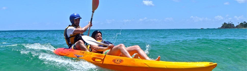 Go Sea Kayak Byron Bay - Dolphin Sea Kayak Tour