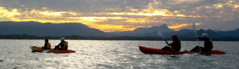 Go Sea Kayak Byron Bay - Dolphin Sea Kayak Tour