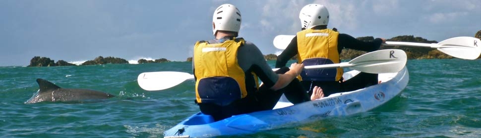 Go Sea Kayak Byron Bay - Dolphin Sea Kayak Tour