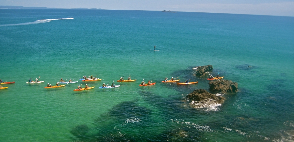 Go Sea Kayak Byron Bay - Dolphin Sea Kayak Tour