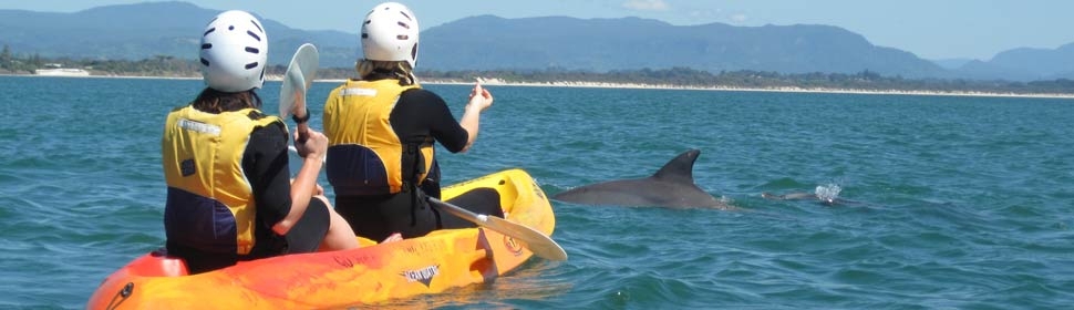 Go Sea Kayak Byron Bay - Dolphin Sea Kayak Tour