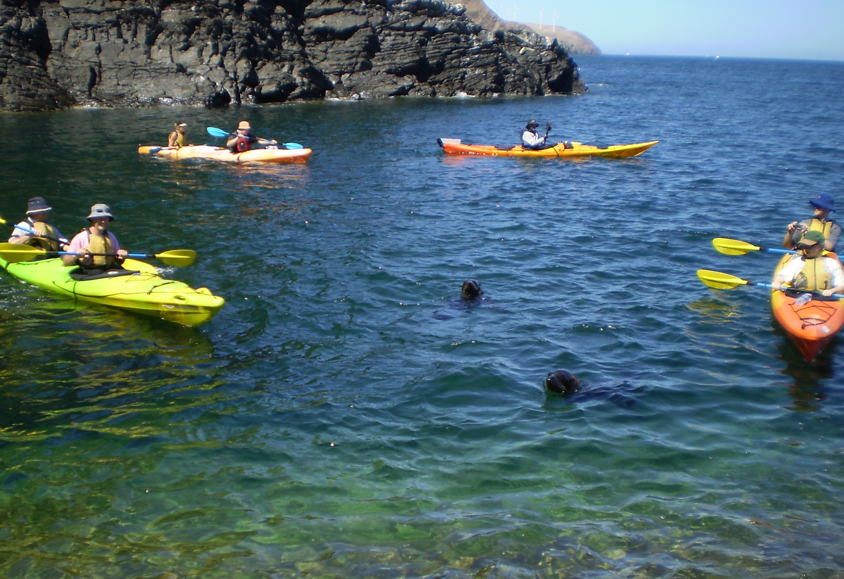 Rapid Bay Sea Caves Tour - Adventure Kayaking SA Reservations
