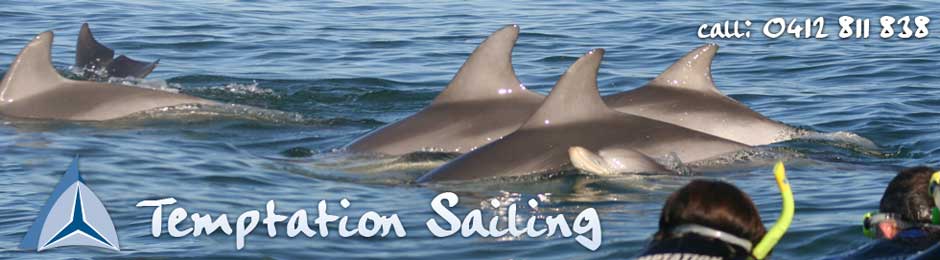 Temptation Sailing Reservations