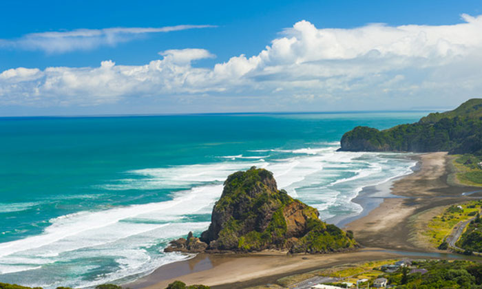 Best of Auckland Tour and West Coast Highlights