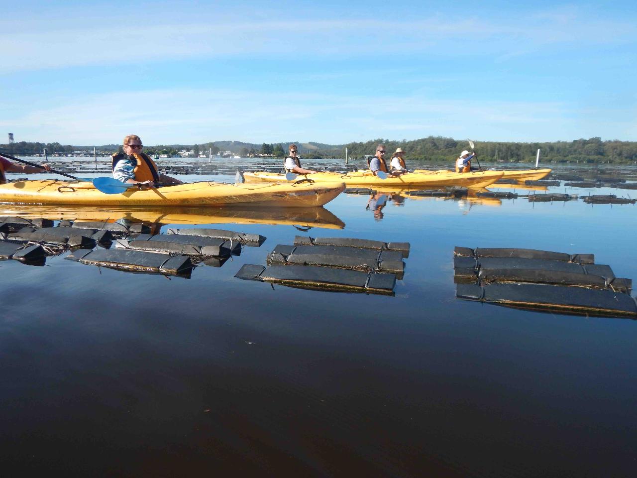 Oyster Tasting Kayak Tour - Batemans Bay - Turers - Australia