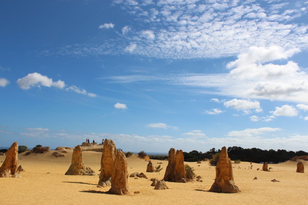 Full-Day Pinnacles, Swan Valley Wildlife Park & Lancelin (Optional ...