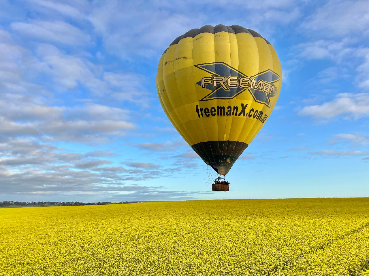 Canola Balloon Flight - Temora - Goldrush Ballooning Reservations