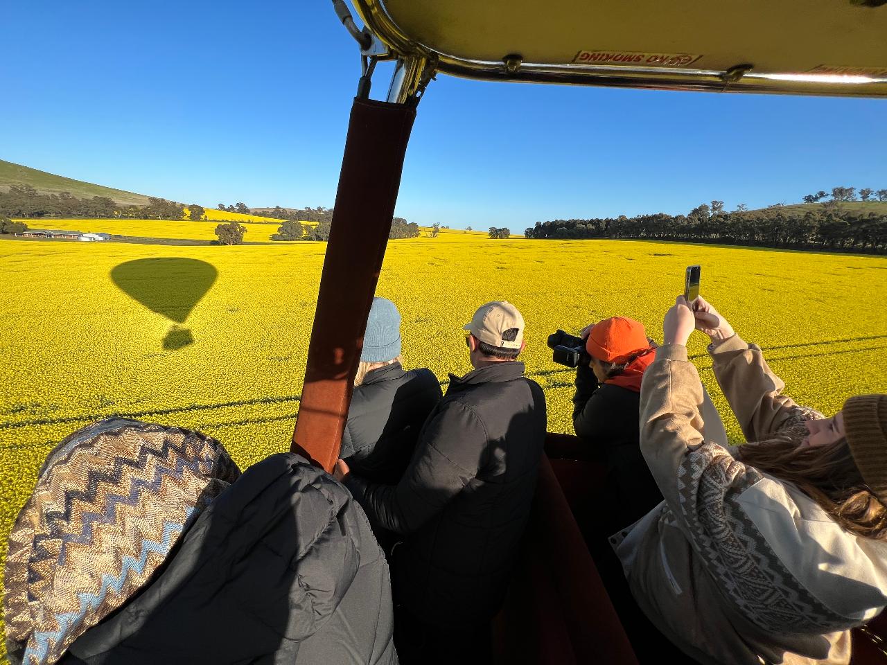 Canola Balloon Flight - Temora - Goldrush Ballooning Reservations