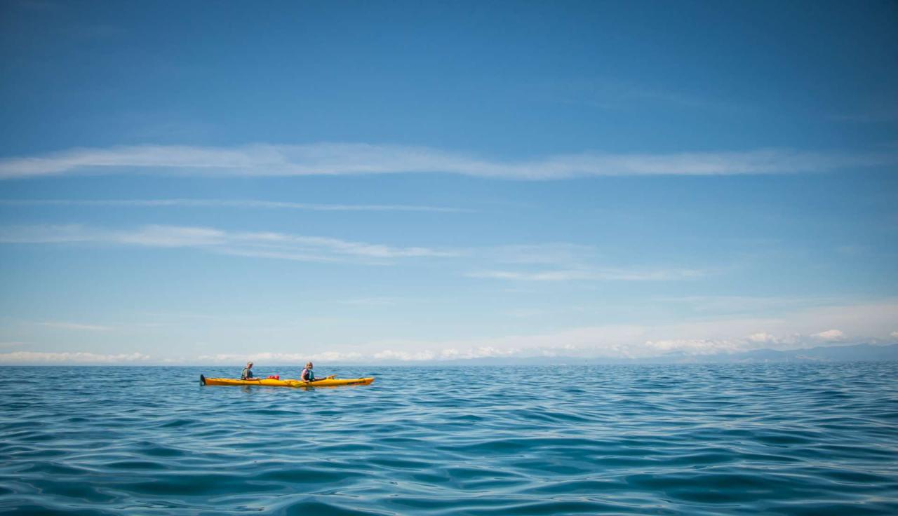 Split Apple Classic - Half Day Guided Kayaking - Kaiteriteri Kayaks ...