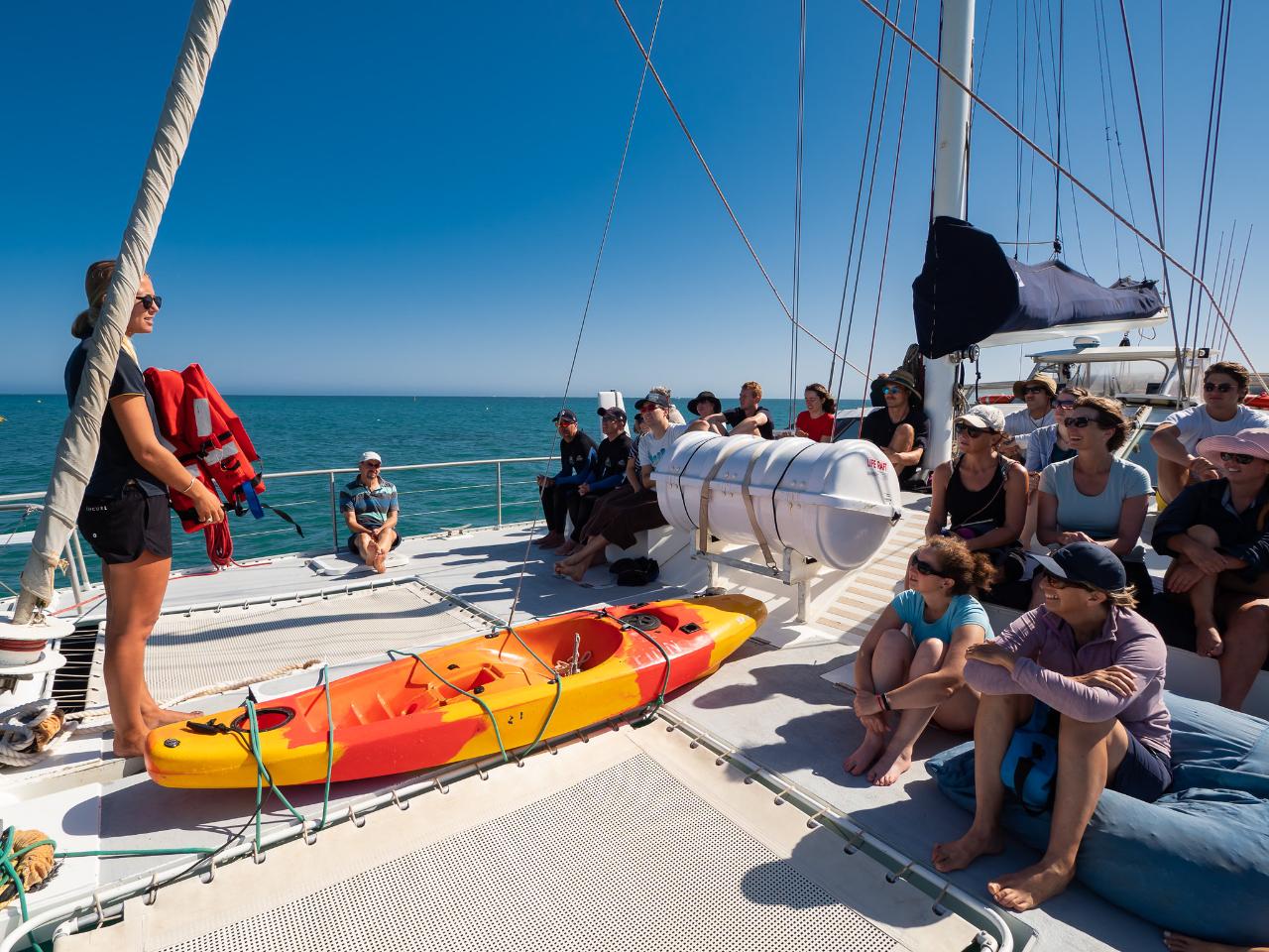 Ningaloo Whale Shark Swim on a Sailing Catamaran 2025 - Ningaloo ...