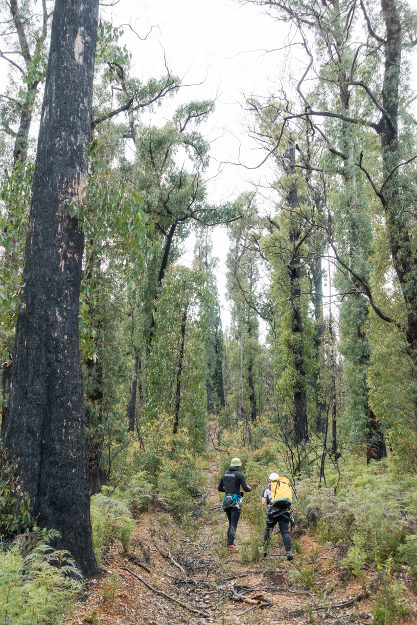 Phoenix Gorge Canyoning Tour