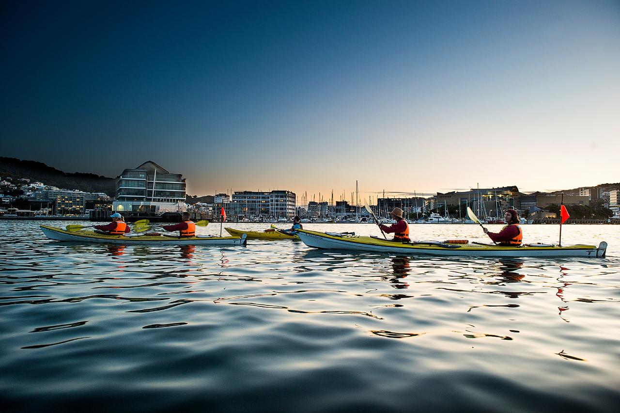 Lights at Night Adventure - Fergs Kayaks Reservations