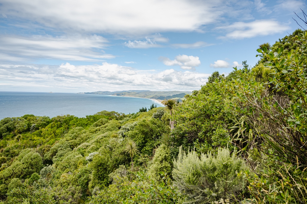 Cape Sanctuary public tour - Gannet Safaris Overland Ltd Reservations