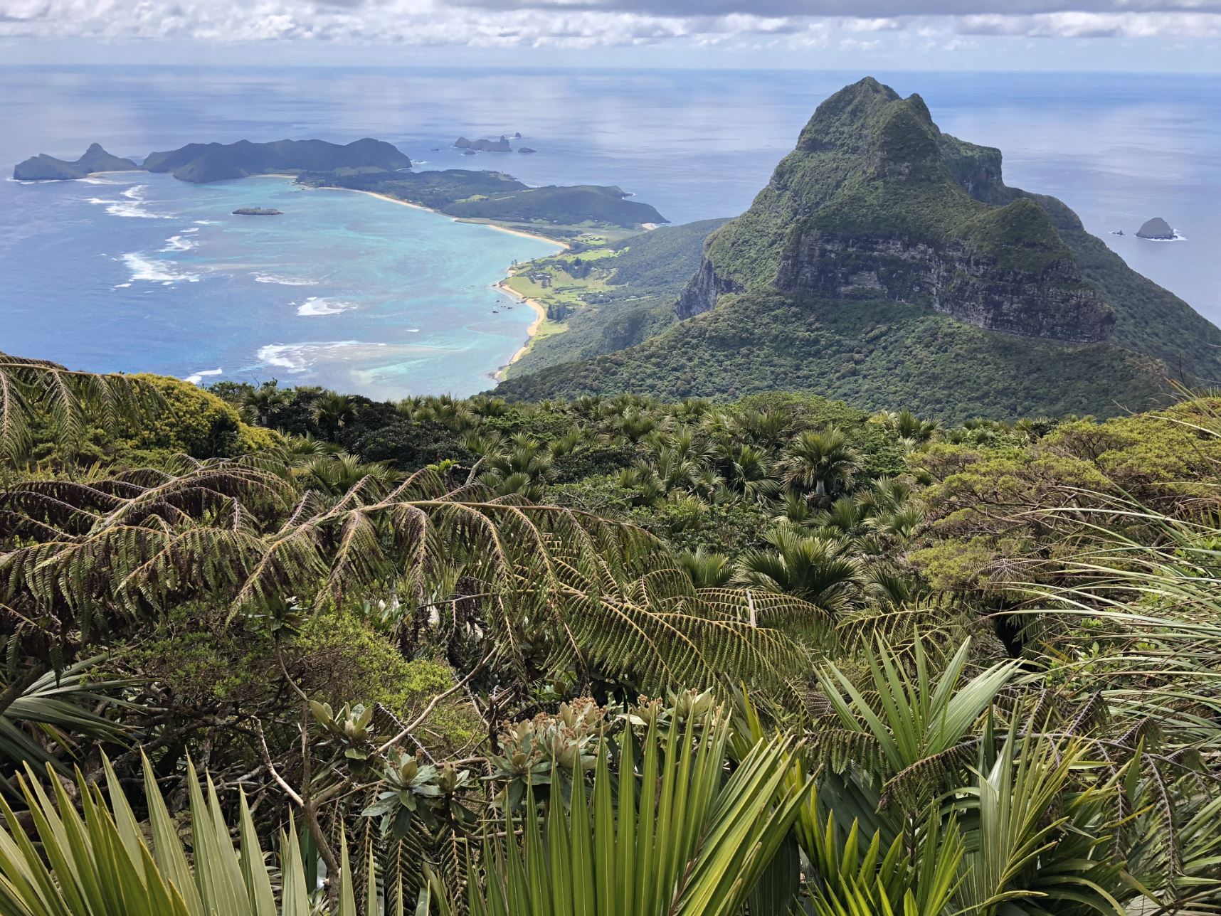 Mount Gower Trek - Lord Howe Environmental Tours Reservations