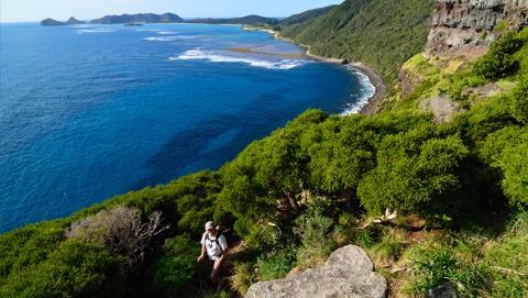 Mount Gower Trek - Lord Howe Environmental Tours Reservations