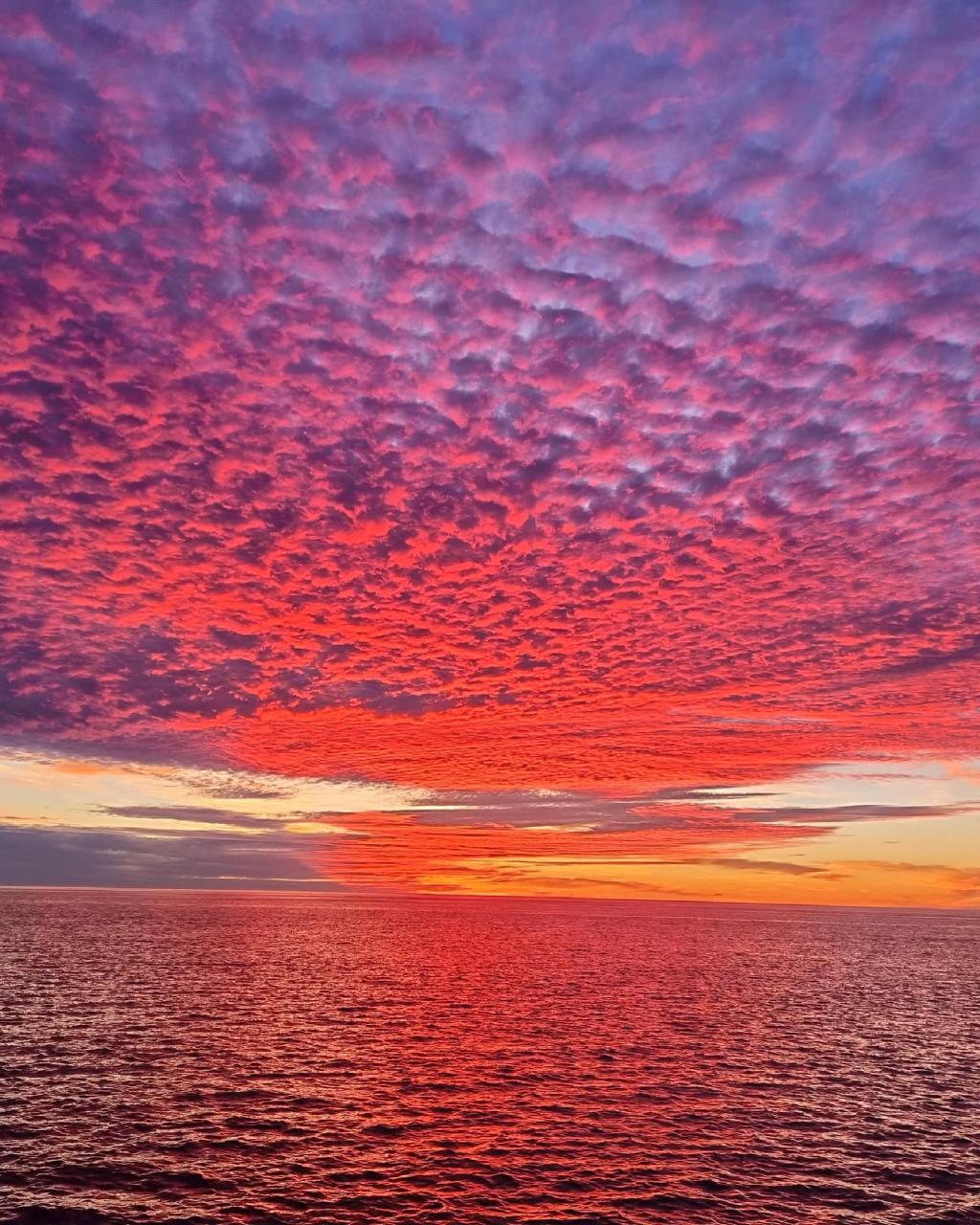 Broome Sunset, Seafood & Pearling Cruise - SEA WEST Reservations