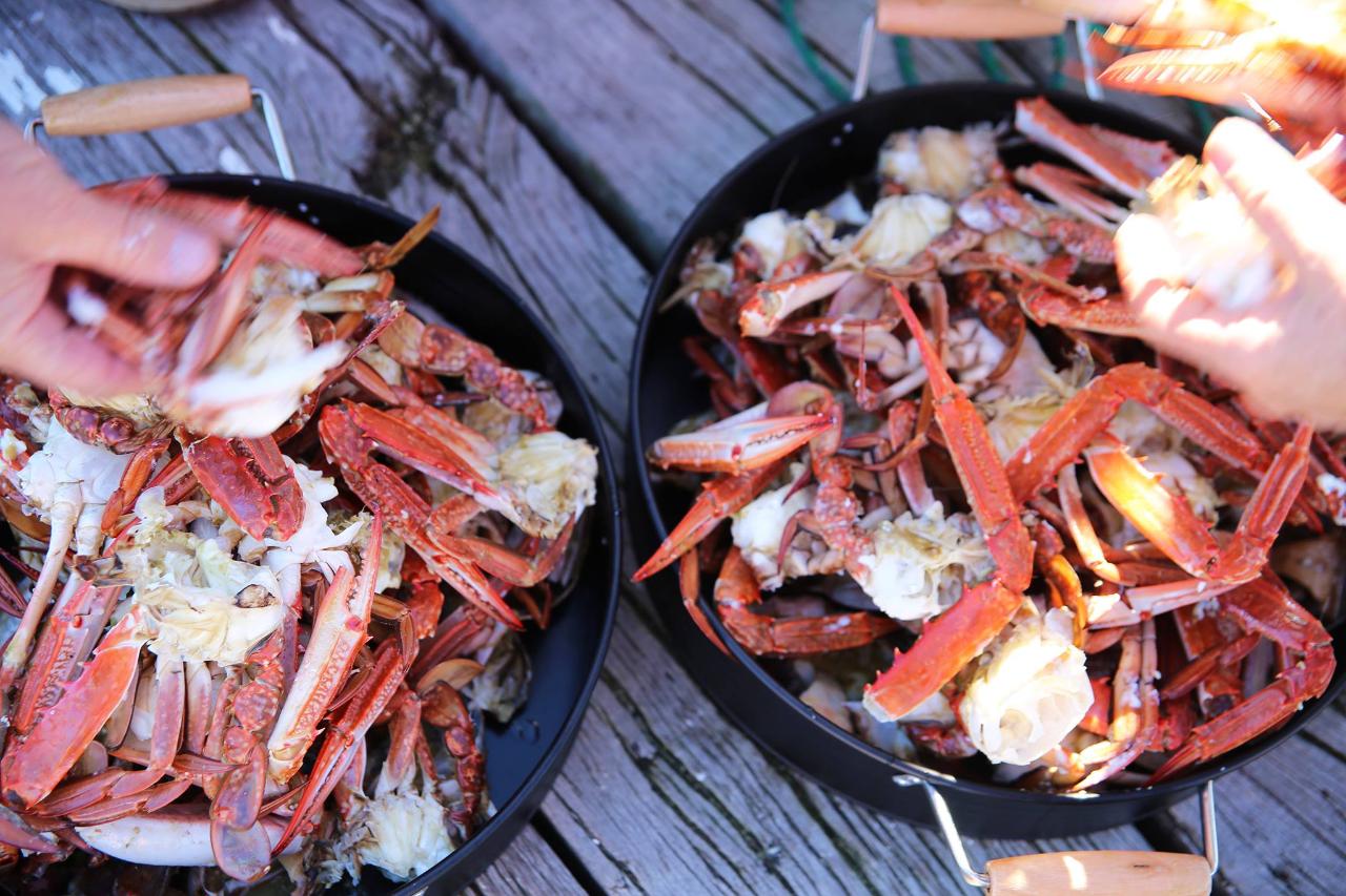 Catch & Eat Crab - Crabbing Tour - Mandurah Cruises
