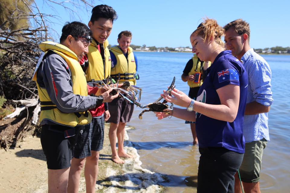 Catch & Eat Crab - Crabbing Tour - Mandurah Cruises
