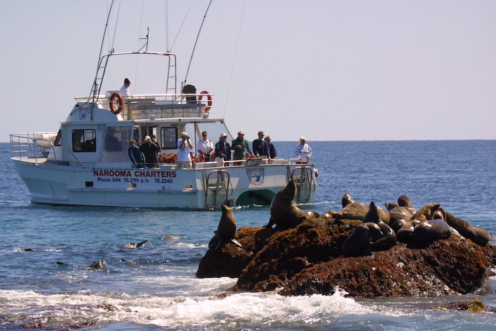 Double Dive - Narooma Charters Reservations