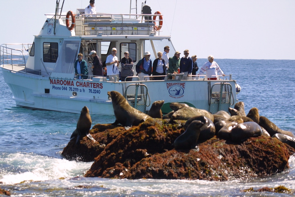 Double Dive - Narooma Charters Reservations