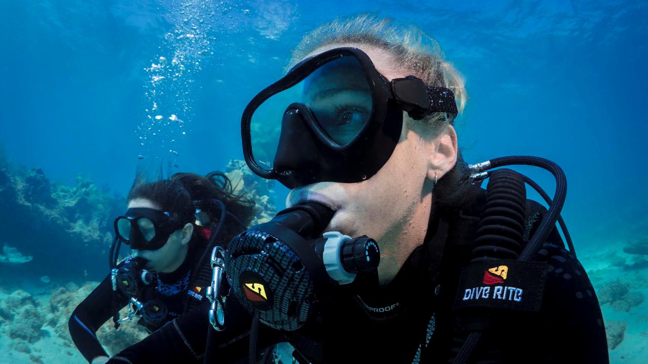 SDI Scuba Discovery Course - New Zealand Diving Reservations