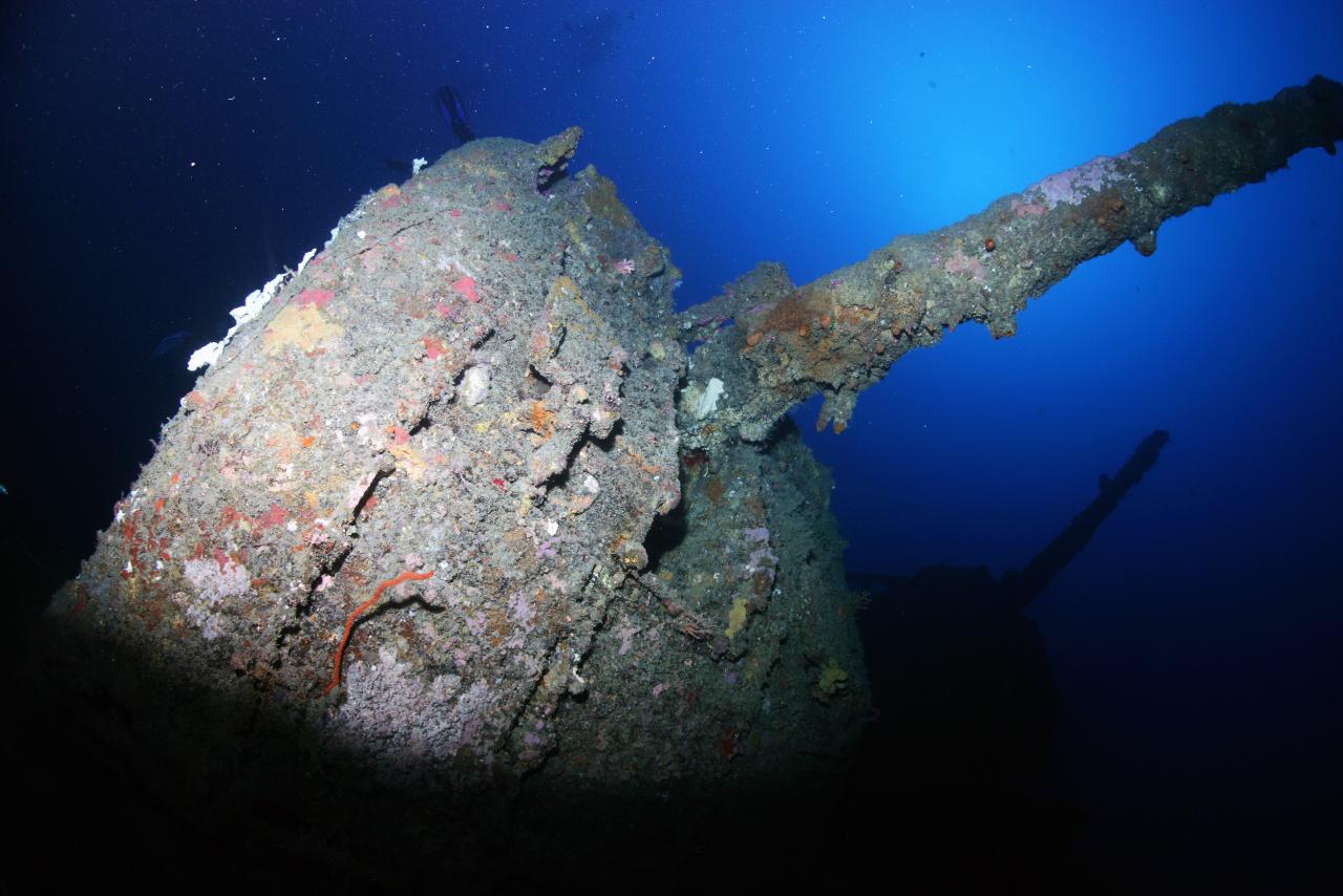 TDI Advanced Wreck Diver - New Zealand Diving Reservations
