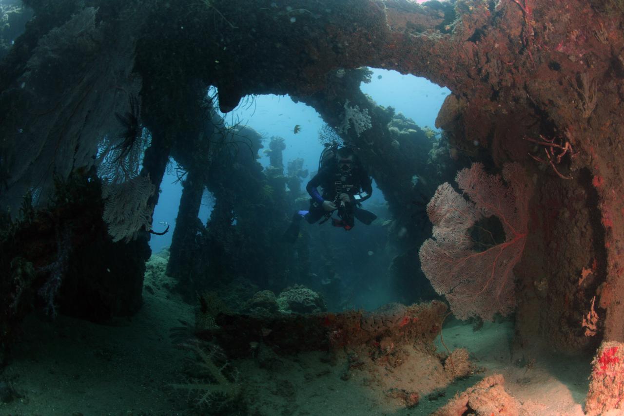 TDI Advanced Wreck Diver - New Zealand Diving Reservations