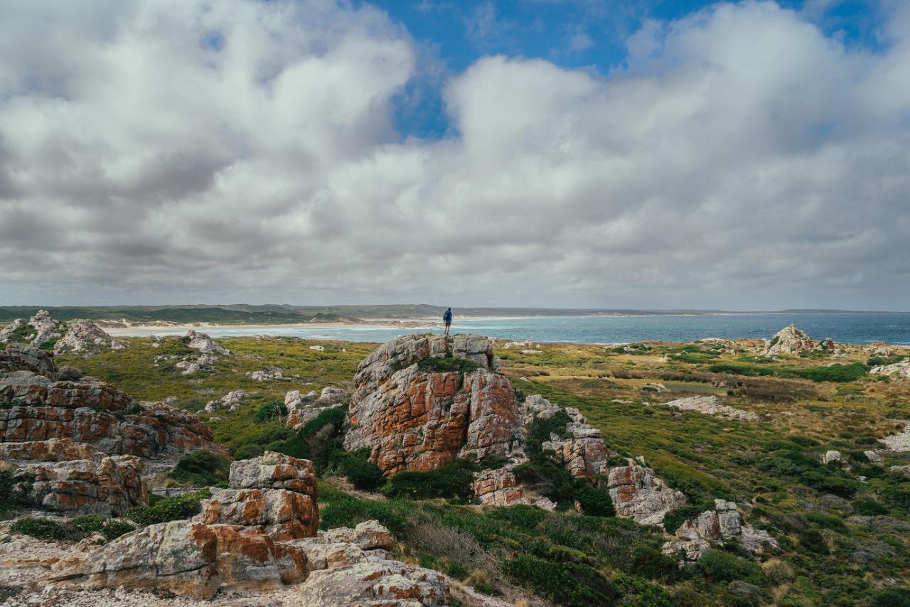 5-Day Takayna / Tarkine Wilderness Adventure: Explore Tasmania’s Beauty