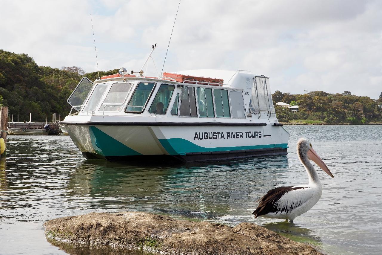 Blackwood Explorer Tour - Augusta River Tours Reservations