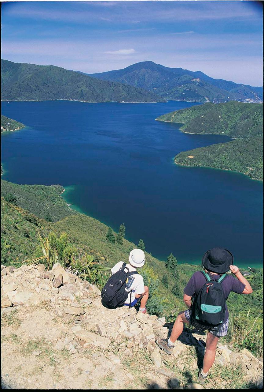 4 Day Standard Independent Walk - Furneaux Lodge, Punga Cove & Portage ...