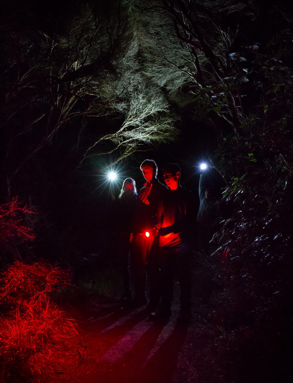 Ultimate Explorer: Kapiti Island Overnight Experience - Cabin - Kapiti ...