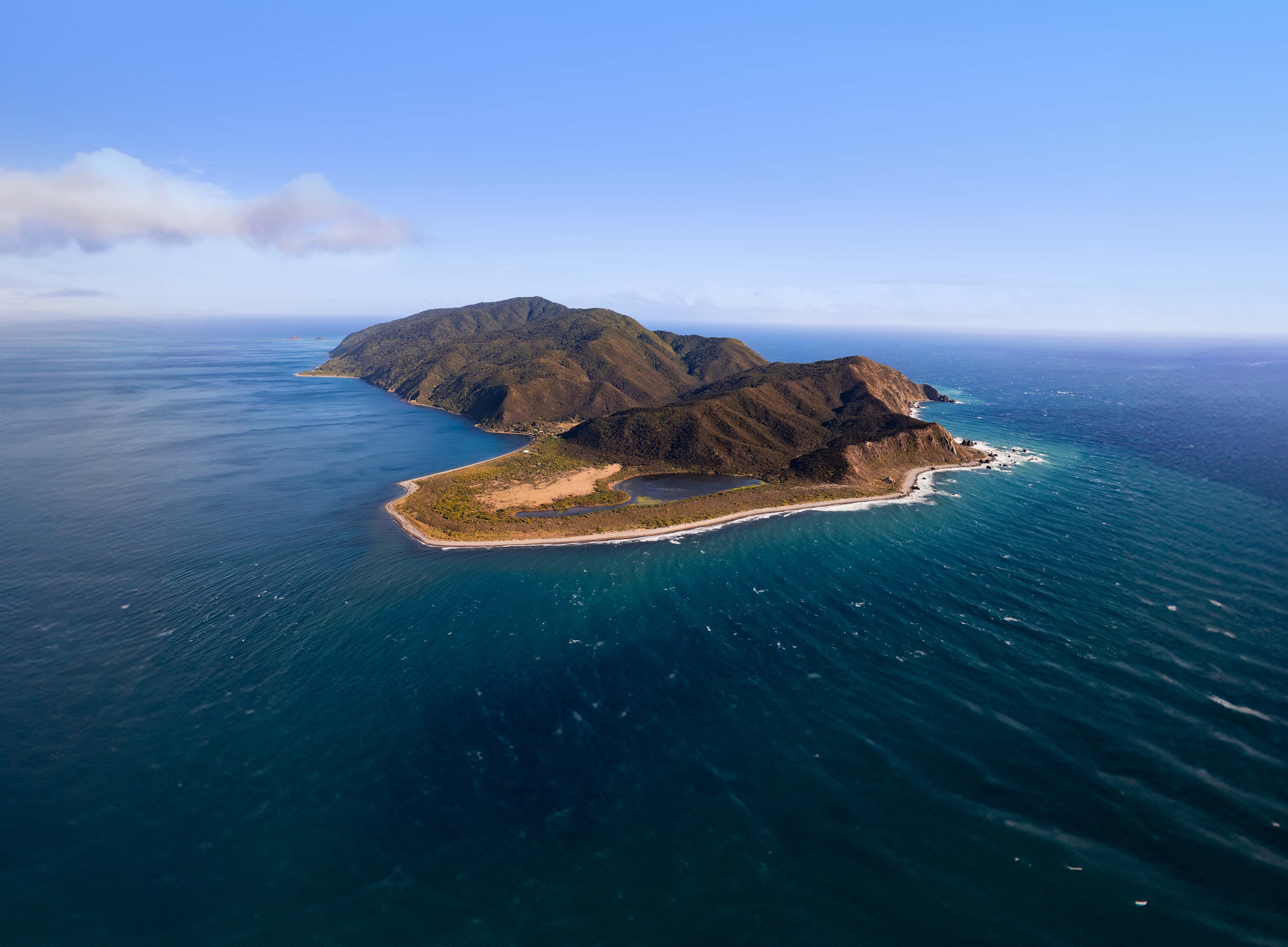 Kapiti Island Heritage Cruise - Kapiti Island Nature Tours Reservations