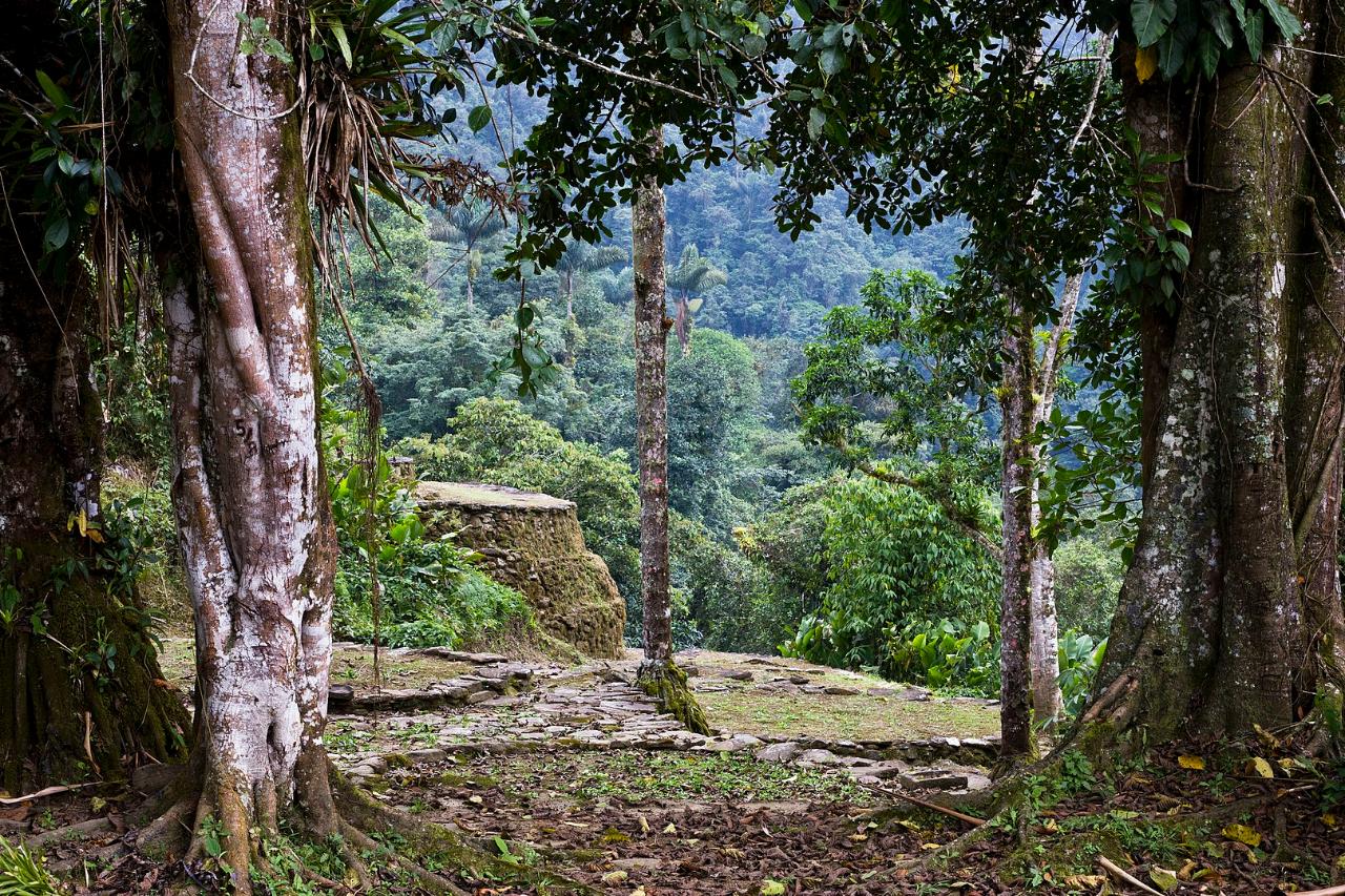 Ciudad Perdida the 'Lost City' 4-Day Tour