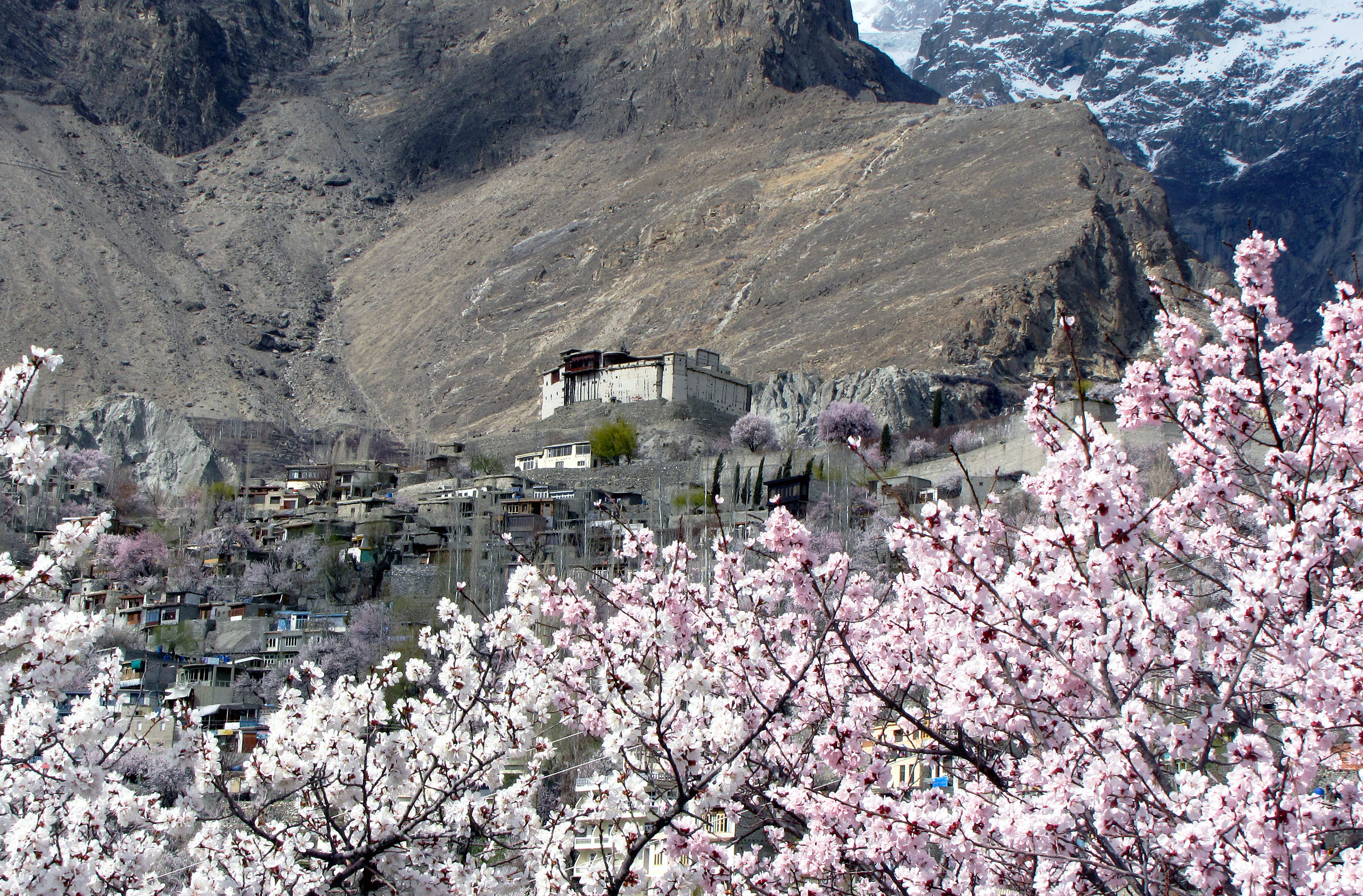 10 Day Cherry Blossom Experience in Hunza Valley