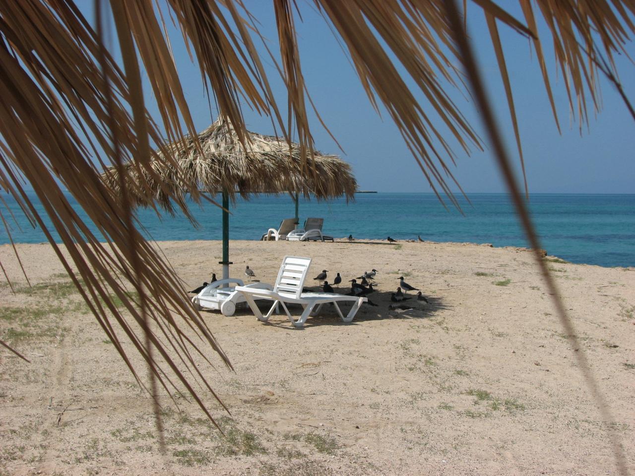 Maskali and Moucha Islands Snorkeling Adventure from Djibouti