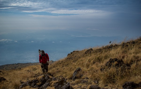 The Cameroon Mountains (Multi-day)