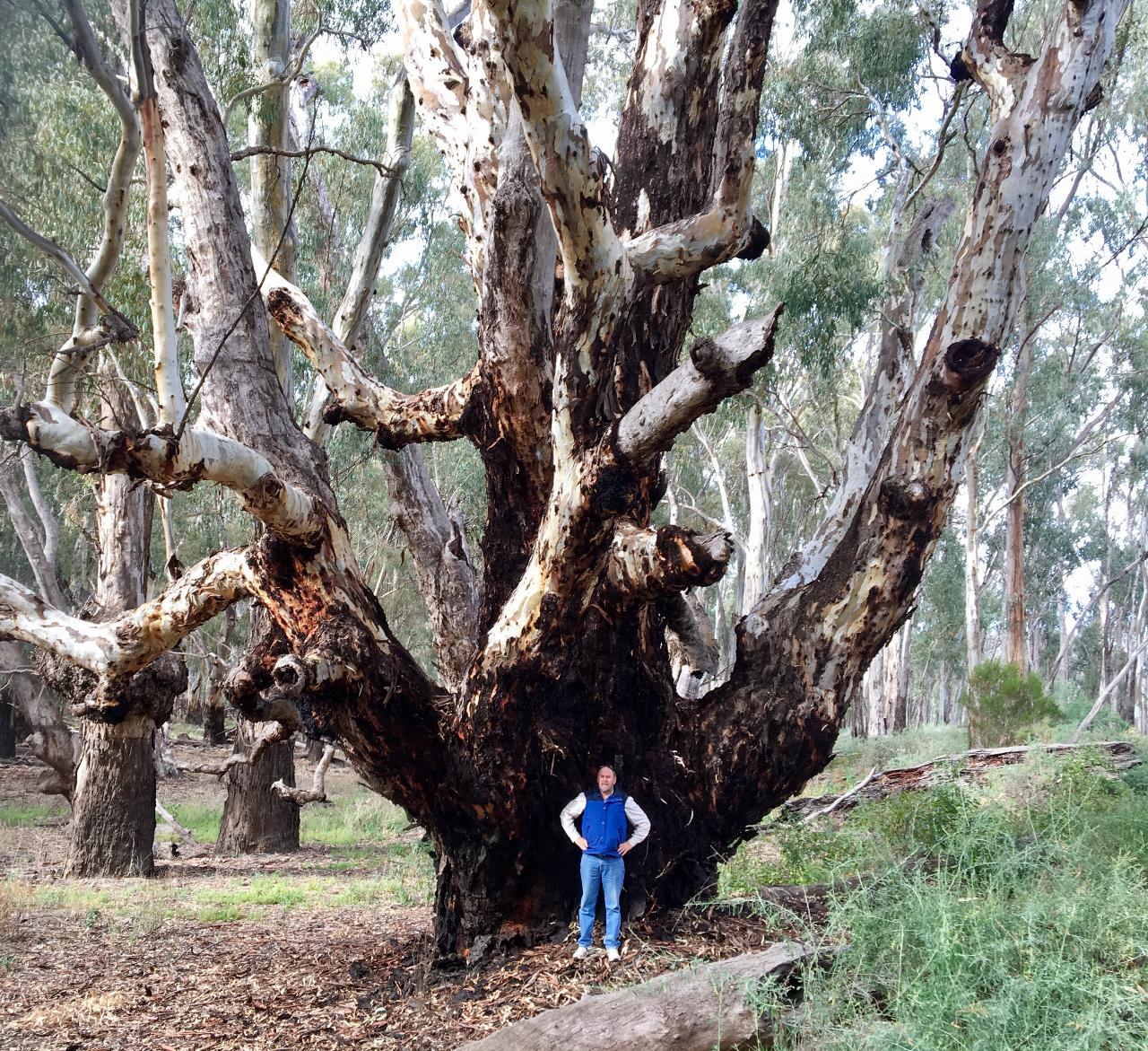 Australian Bush Delights - Hattah National Park Tour - Murray offroad ...