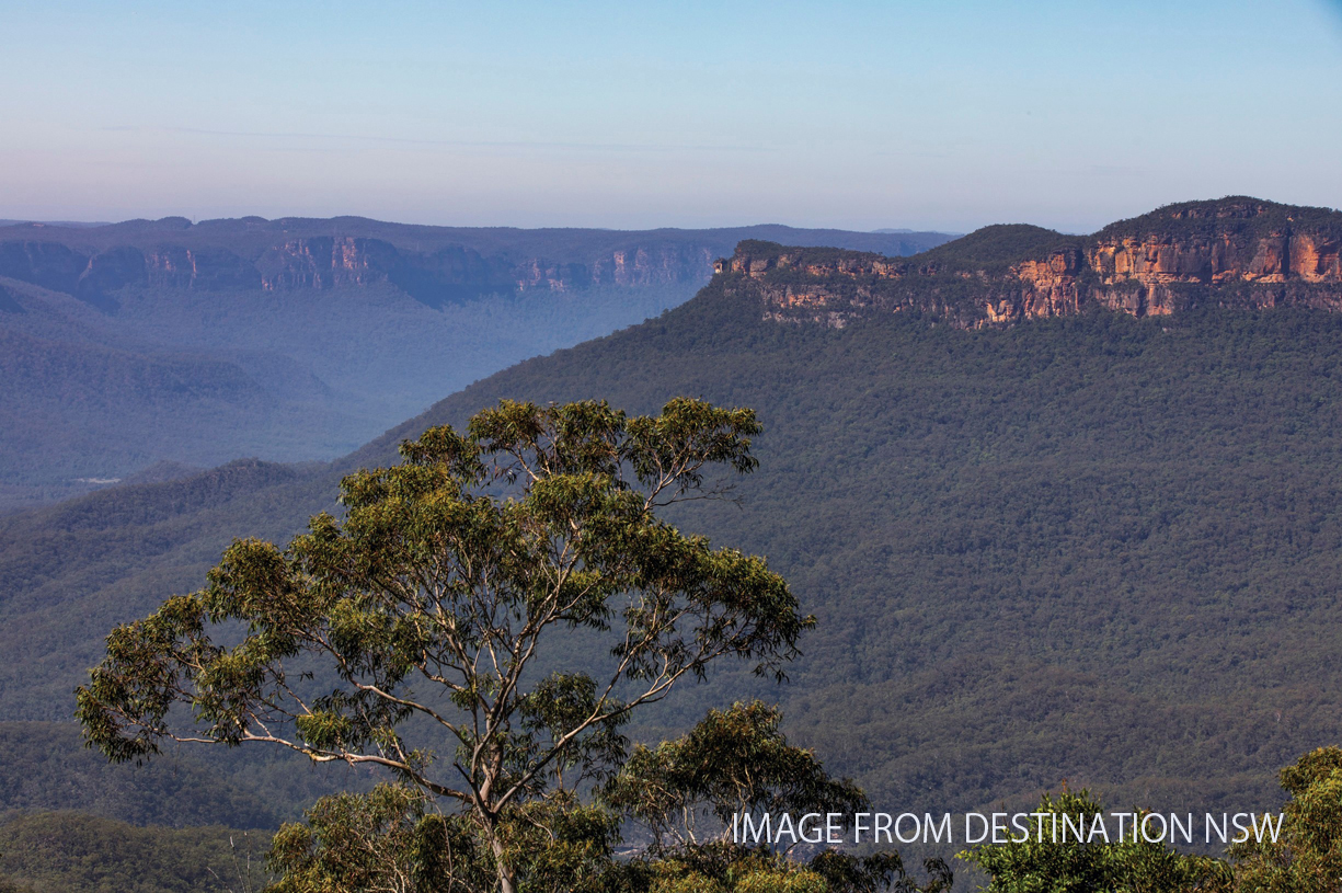 Home - Tournet Oceania