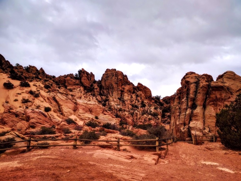 Red Cliffs Desert Reserve Hike/ Utah Hike/ Utah Day Tour