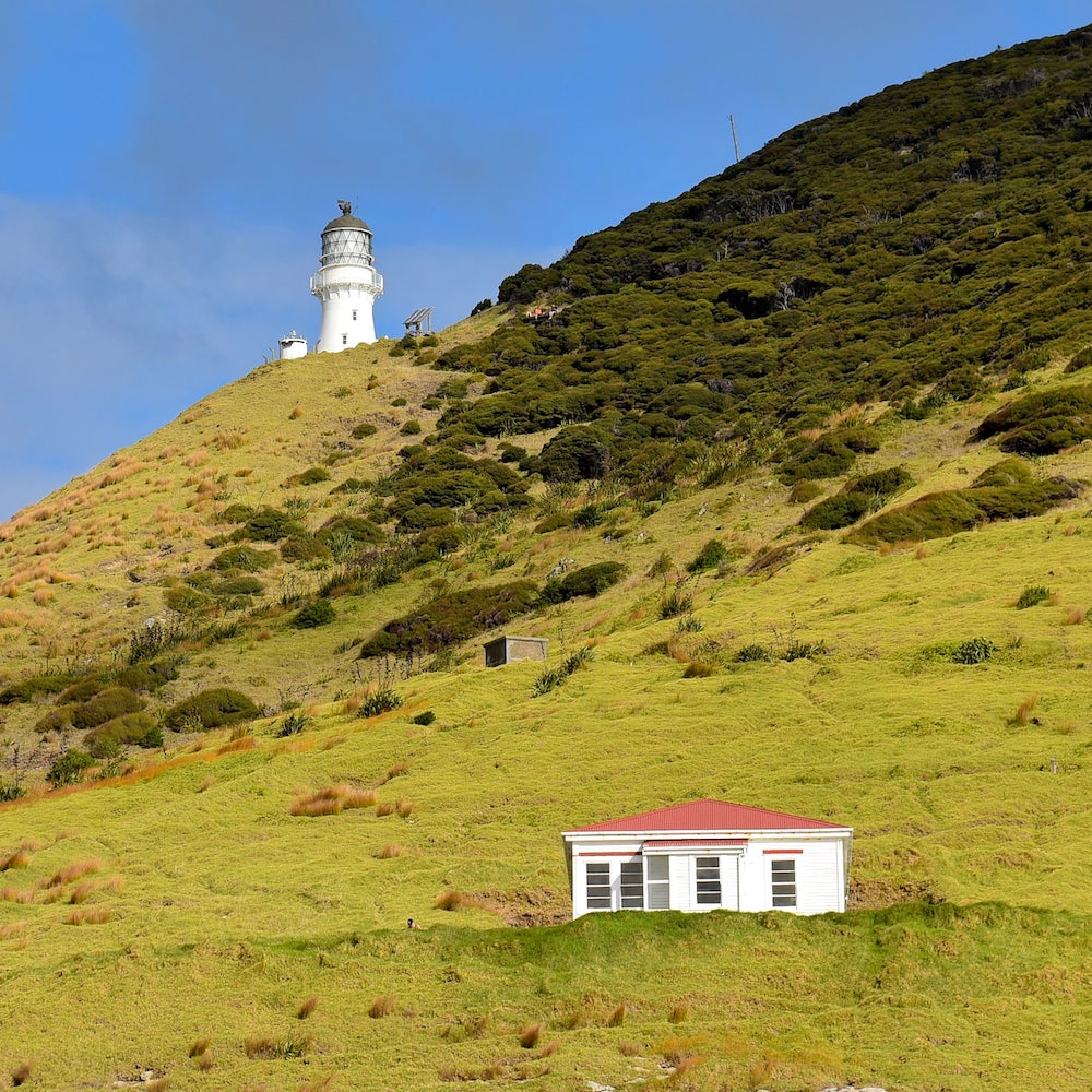 Oke Bay >> Deep Water Cove - Island Getaway - Boat Cruise & Island ...