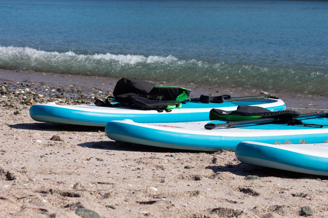 Bay of Islands Cruise & Island Tour - With Snorkelling, Paddleboarding ...