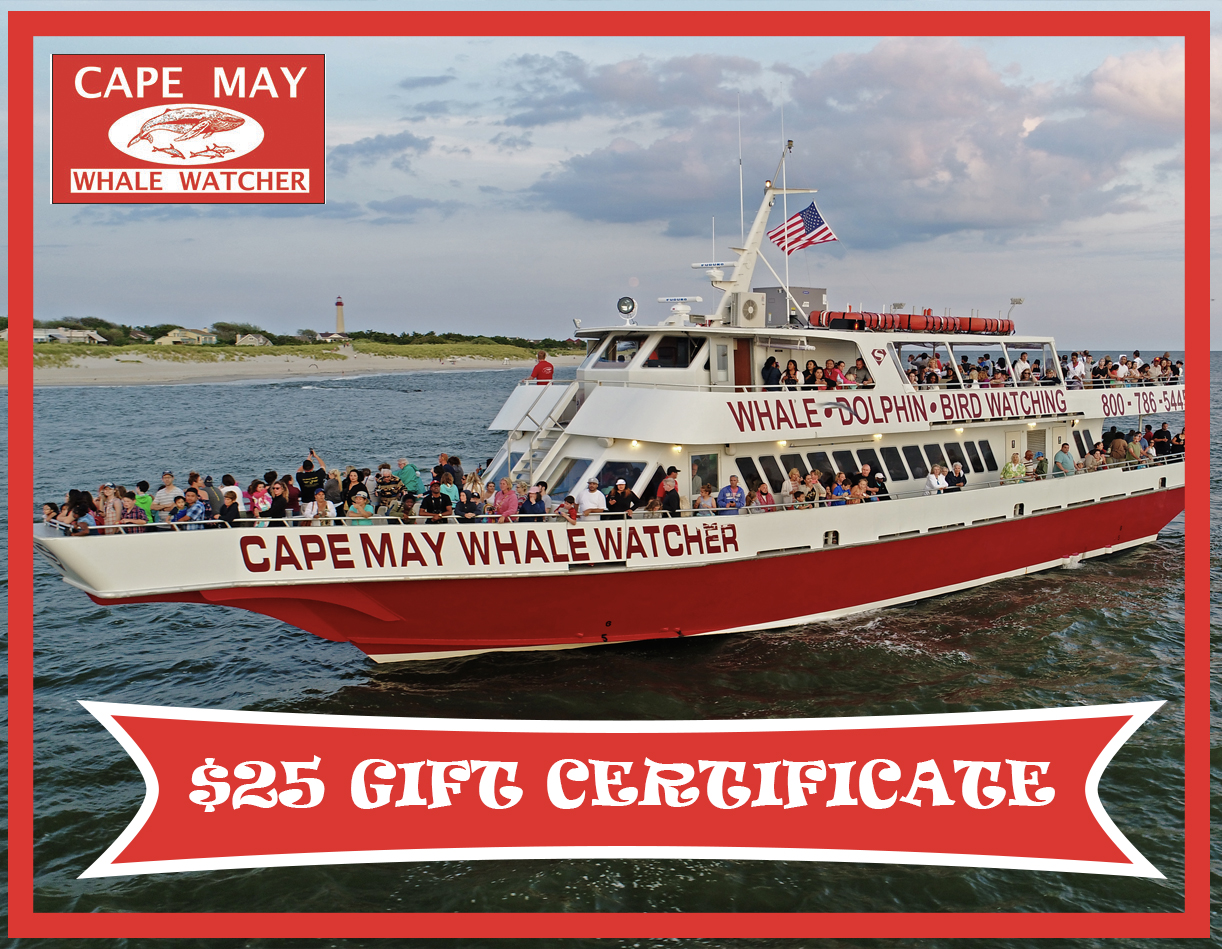$25 Gift Certificate - Cape May Whale Watcher Reservations