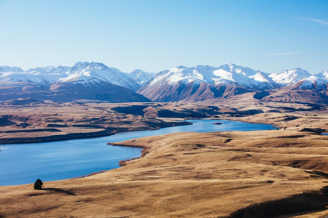 Christchurch to Tekapo via Mt Cook Day tour