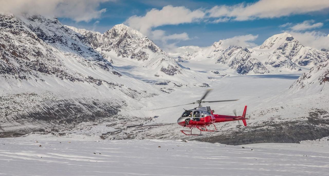 Denali Glacier Landing by Helicopter - Stampede Excursions Reservations
