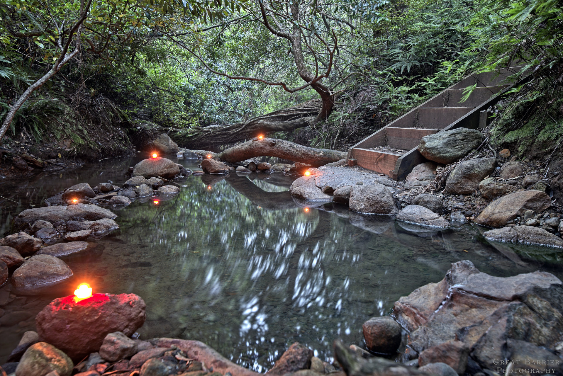 Kaitoke Hot Springs Twilight Trek - Private Trek - Star Treks Reservations