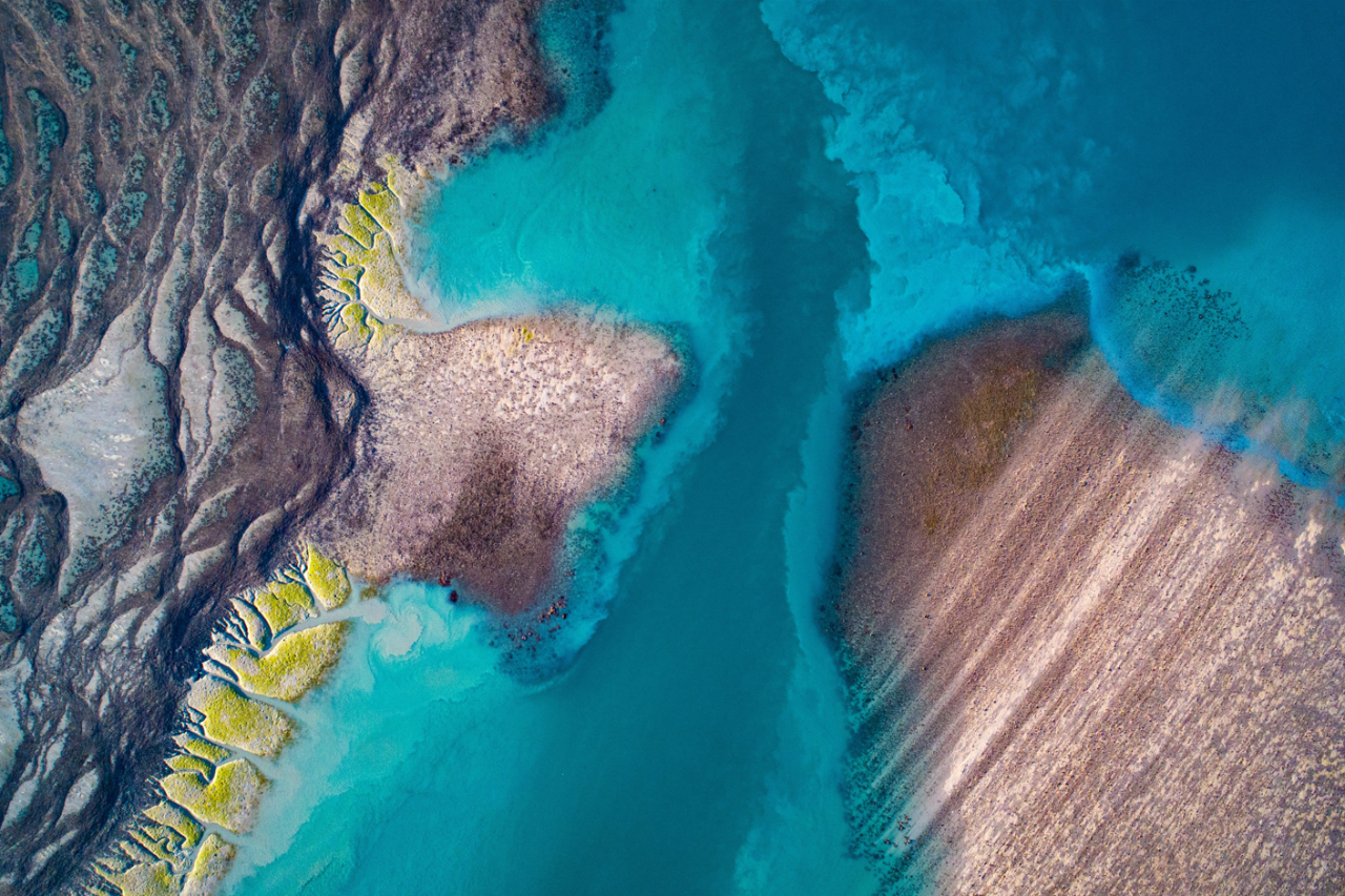 Montgomery Reef & Horizontal Falls Discoverer (includes landing, boat ...