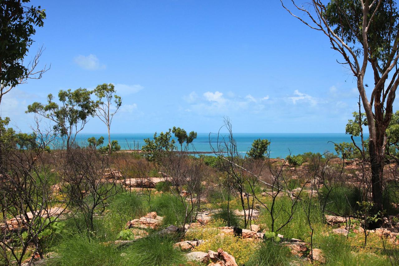 Spirit of the Land and Ocean Helicopter Tour - Kimberley Aboriginal ...