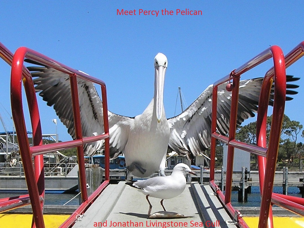 Kalgan Queen Scenic Cruises - Kalgan Queen Scenic Cruises Reservations