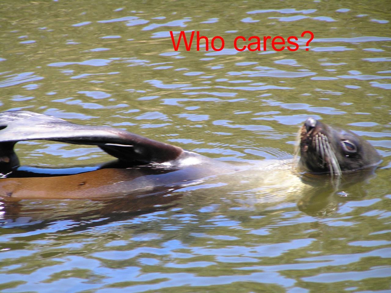 Kalgan Queen Scenic Cruises Sheltered Water Day Tours