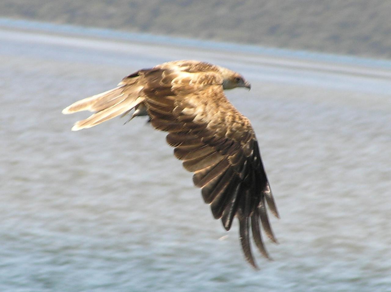 Kalgan Queen Scenic Cruises - Kalgan Queen Scenic Cruises Reservations